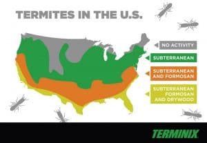 25 Cities with the Worst Termite Infestations in the US